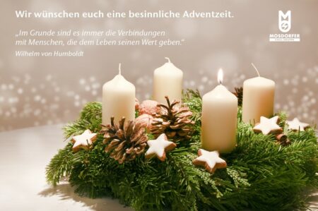 Startseite - Mosdorfer